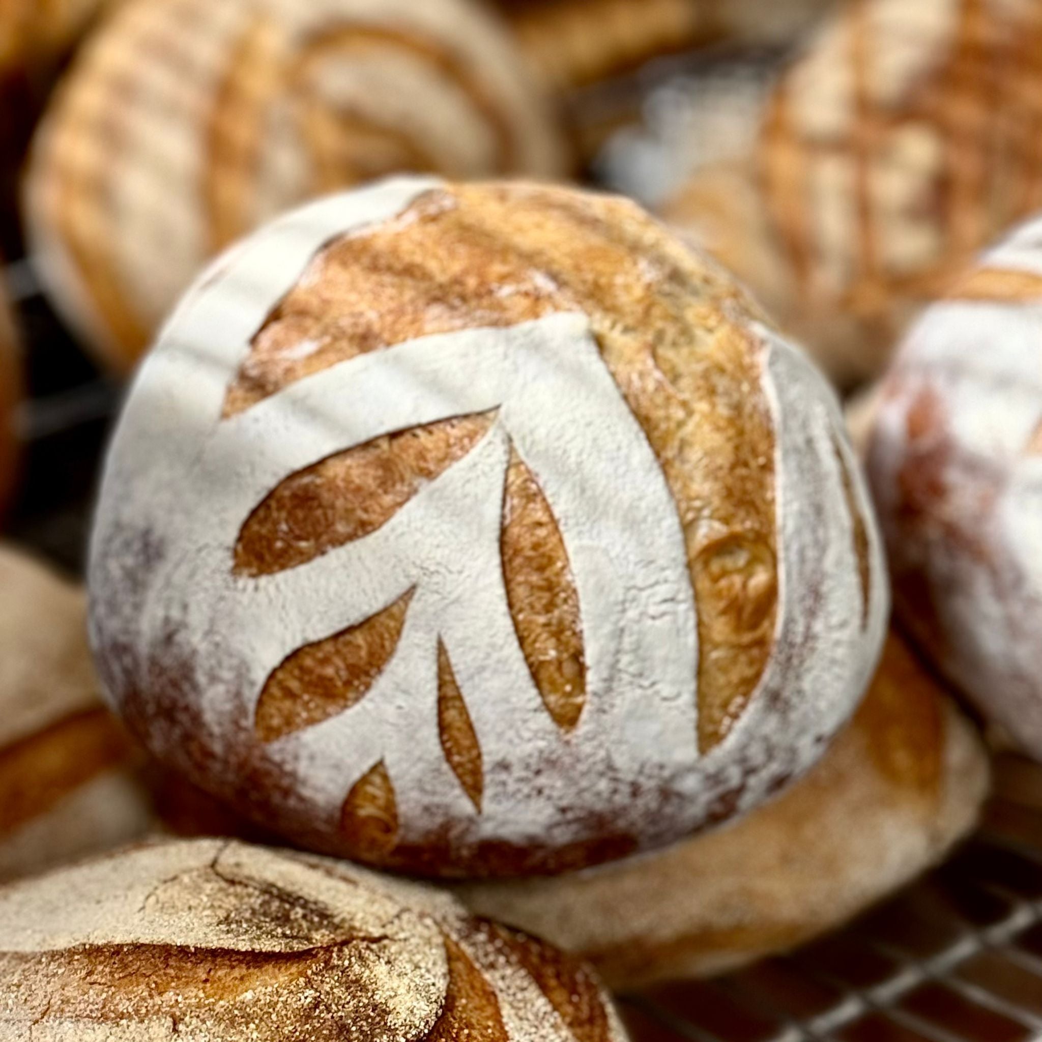 Bread - Tre Mari Bakery