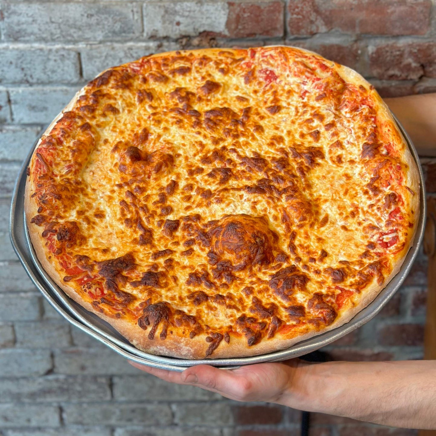 Cheese Pizza – Tre Mari Bakery